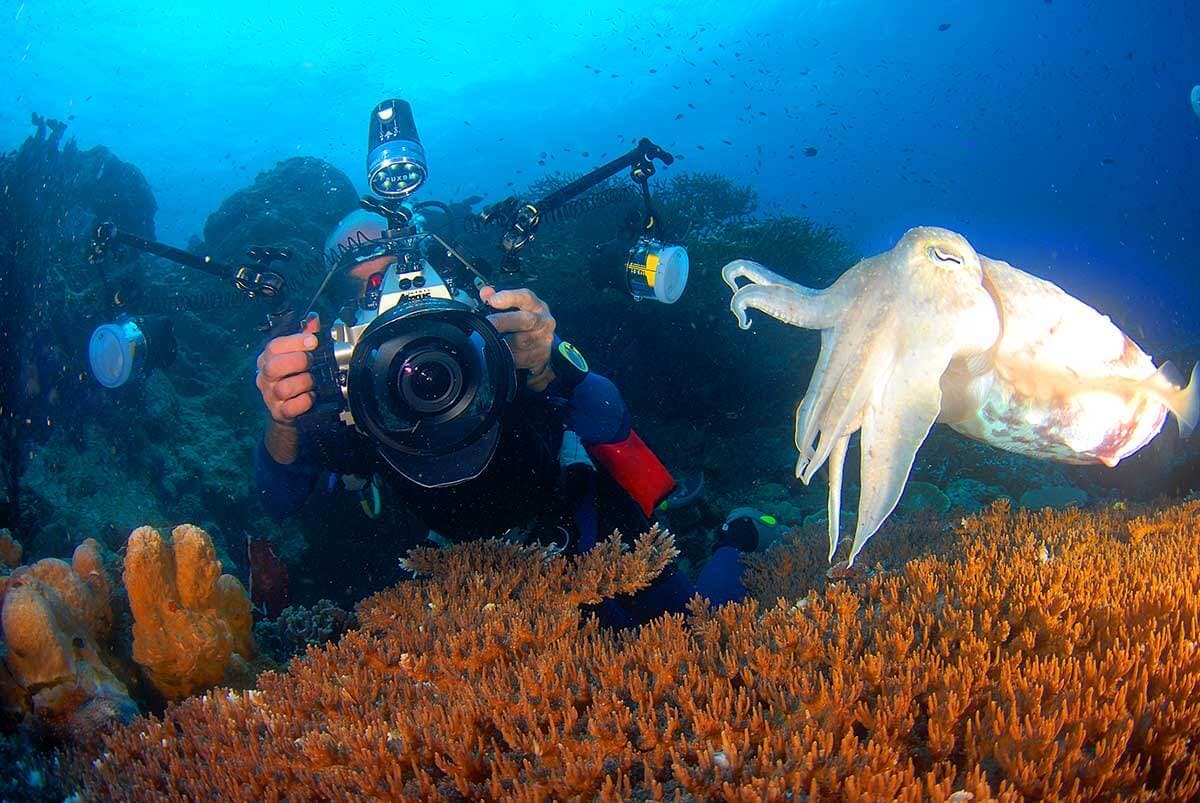 Divine diversity at Walindi Resort | Dive Pacific