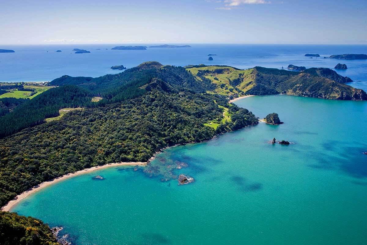 Diver's guide to Mercury Bay Coromandel | Dive Pacific