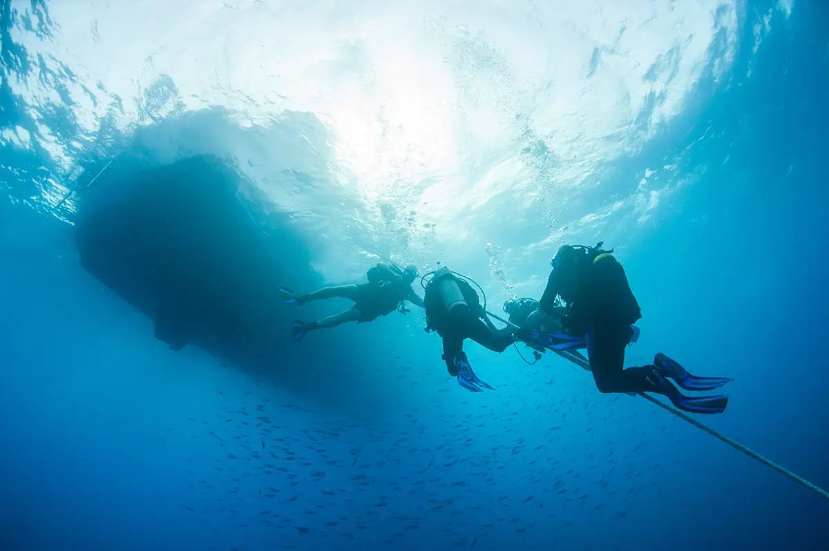 Dive accident insights: current causes chaos | Dive Pacific