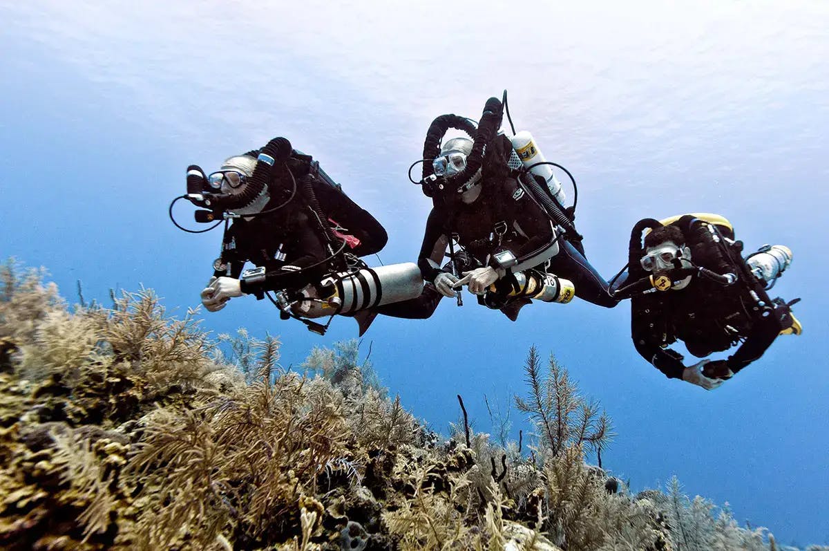 Diving: Selecting the right rebreather | Dive Pacific