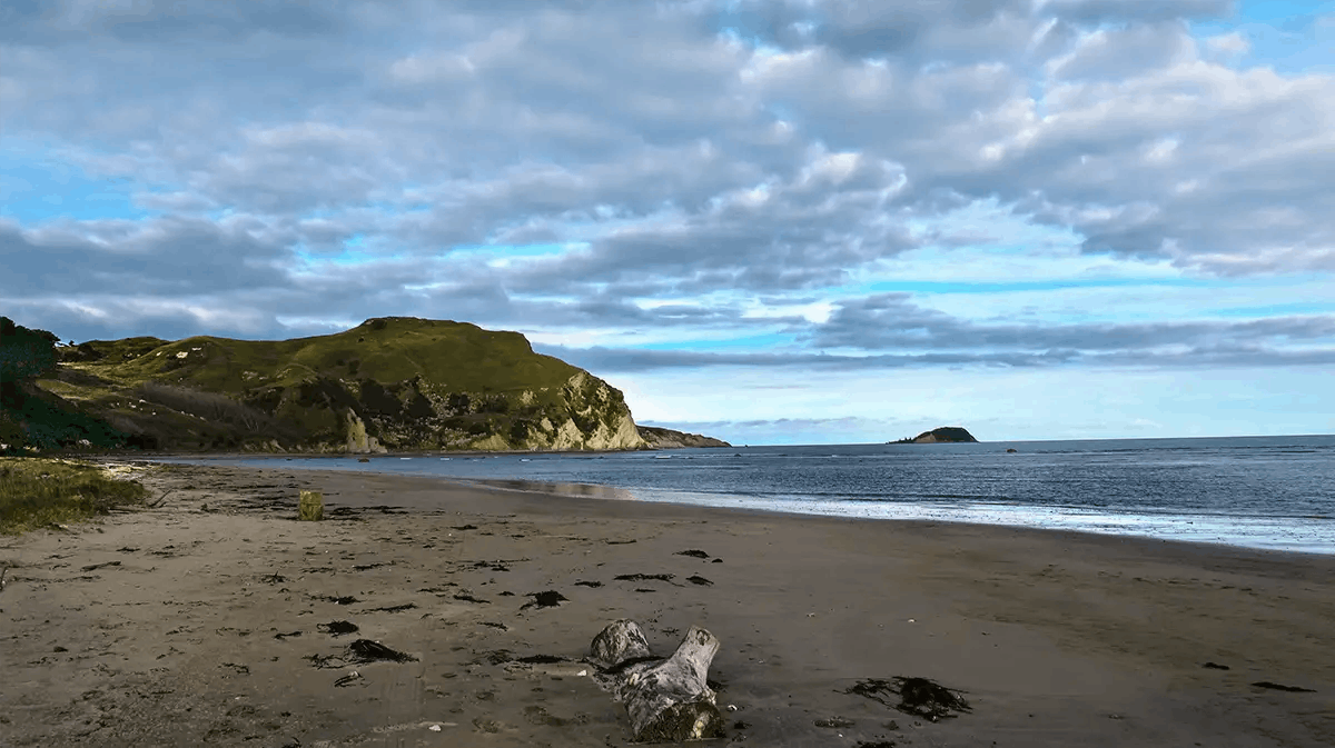 A diver's guide to Poverty Bay - East Coast | Dive Pacific