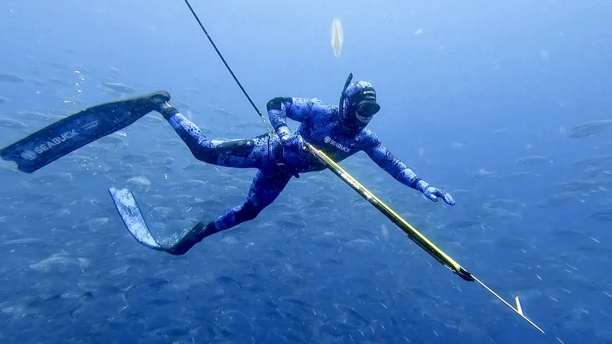 Video: Spearfishing and Freediving the Aldermans | Dive Pacific