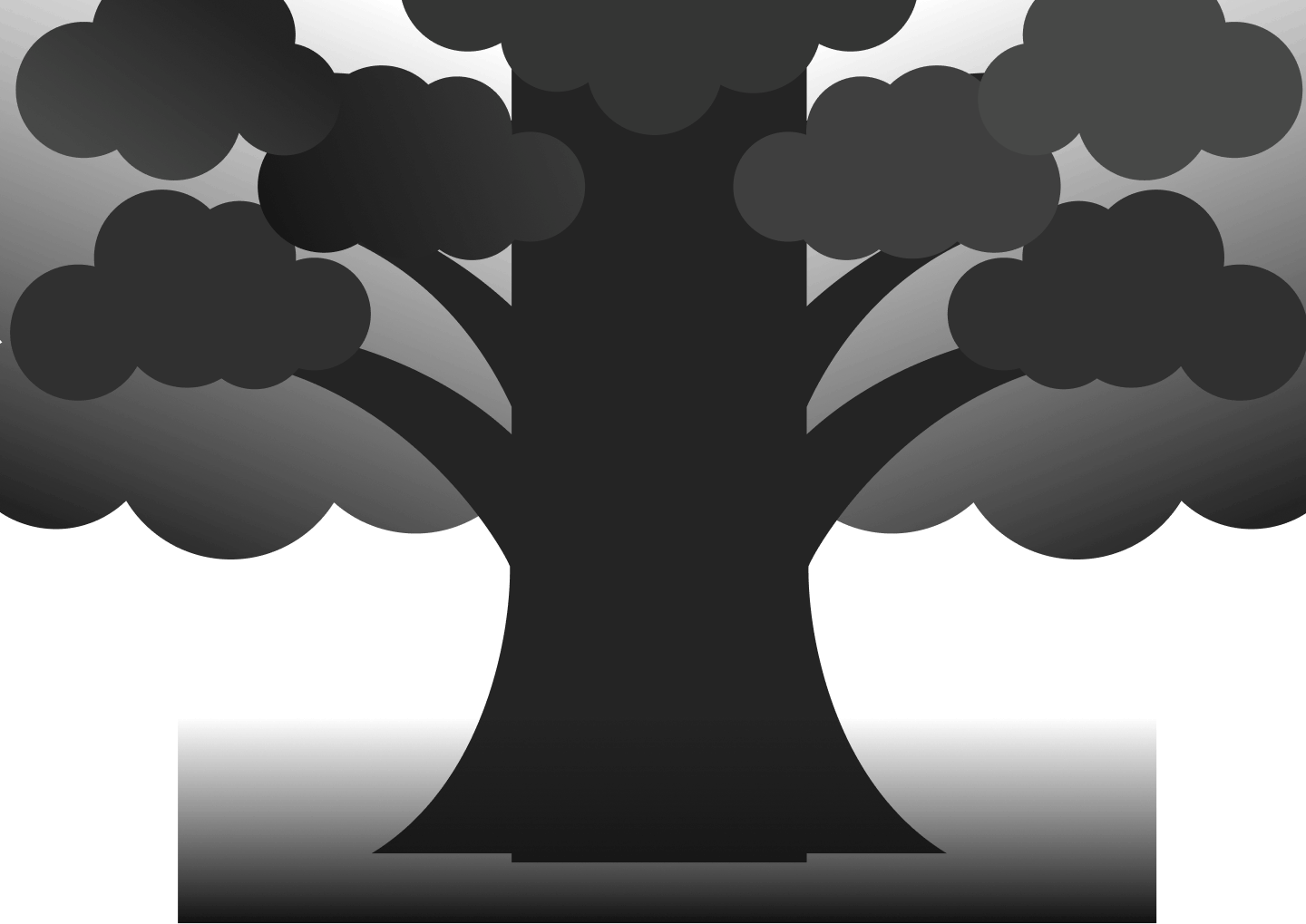 Empress | Spark Your Creativity