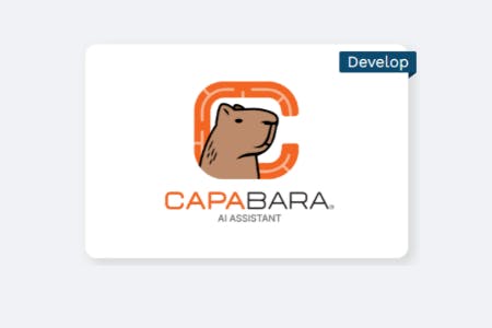Capabara | Develop
