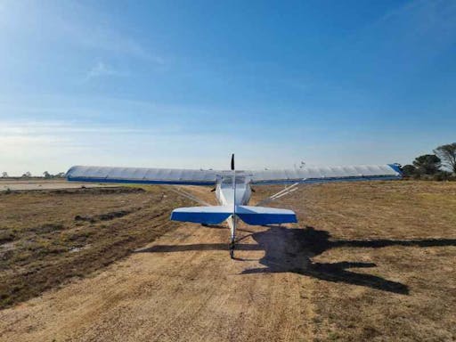 2002 KFA Bushbaby For Sale