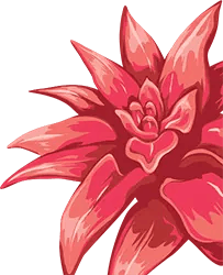 Aztec Island Adventure Golf