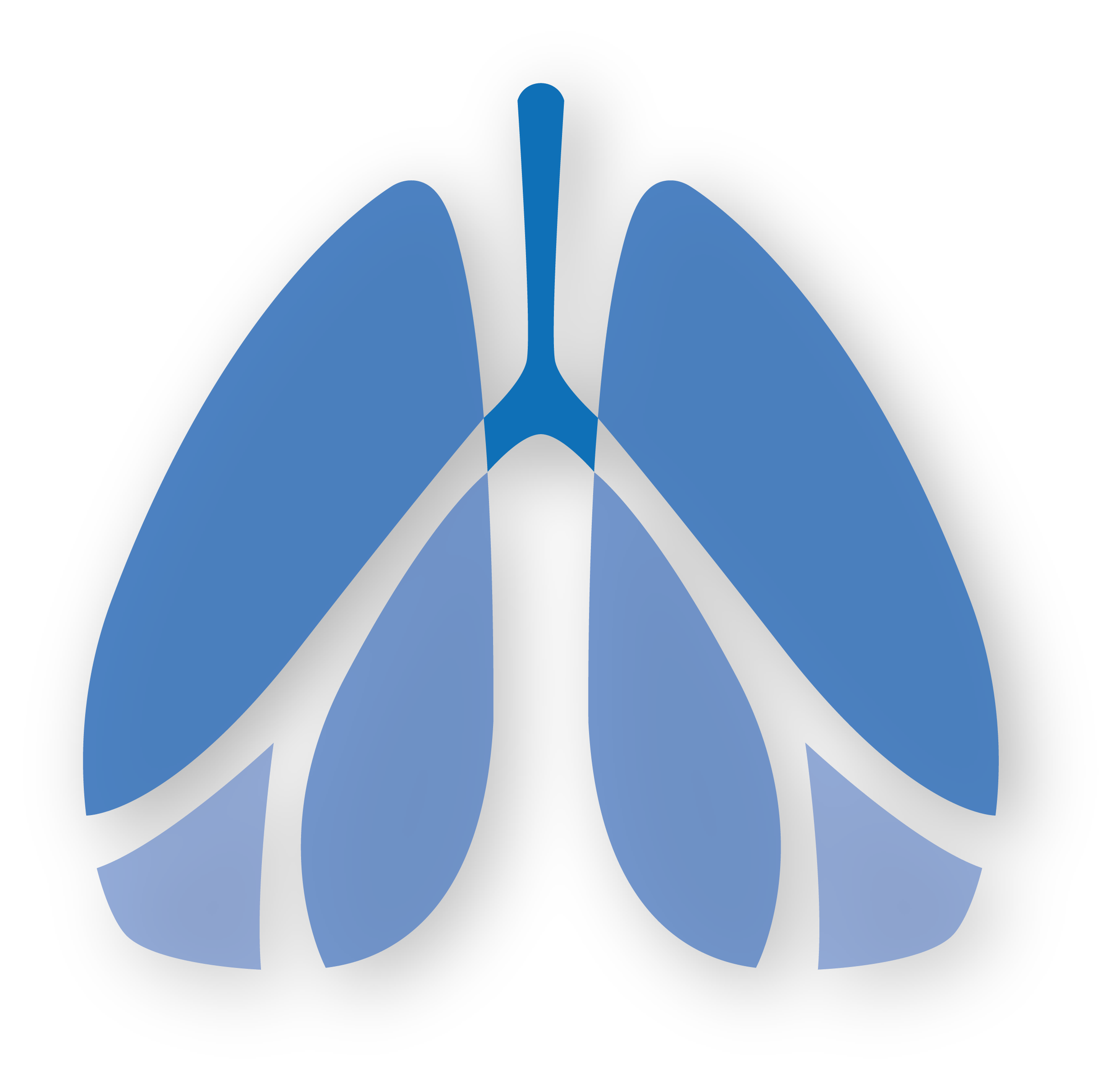 Satisfacción del paciente con el tratamiento inhalado: cómo medirlo y ...