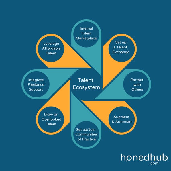 Honed Hub | How to build a world-class talent ecosystem