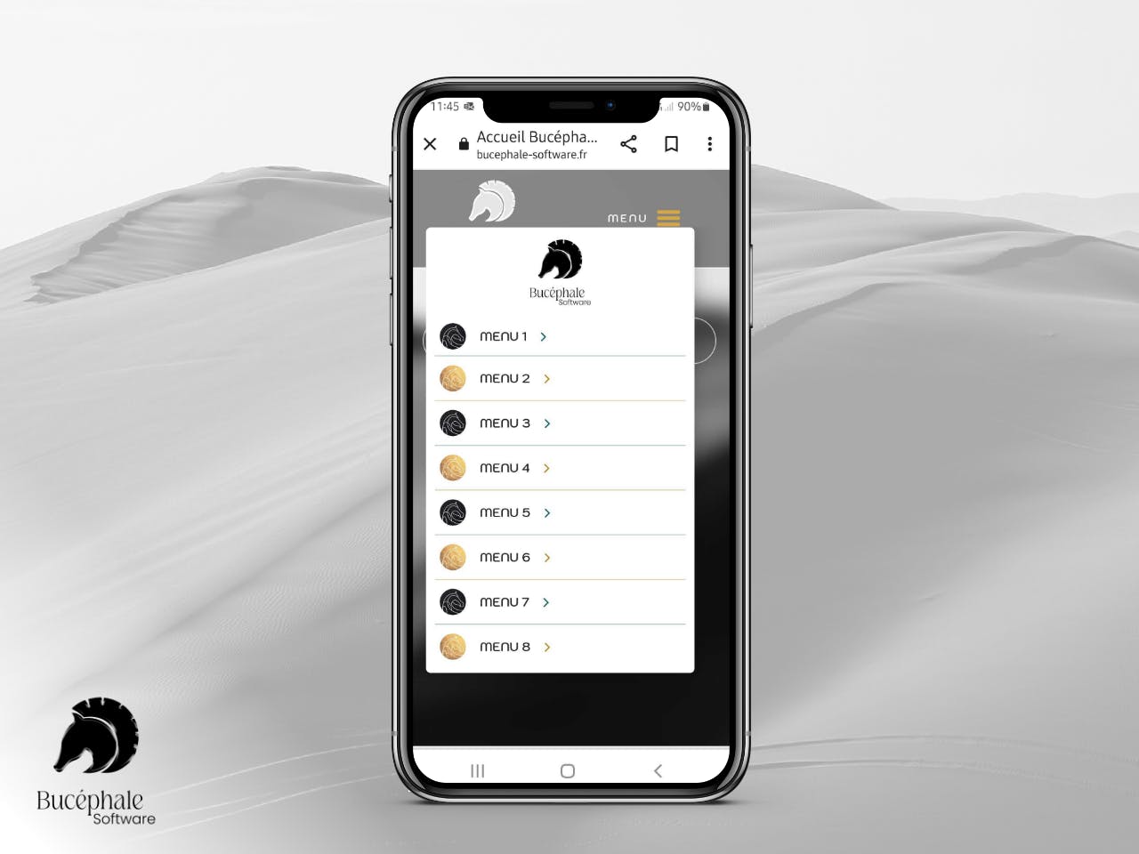 Accueil Bucéphale Software