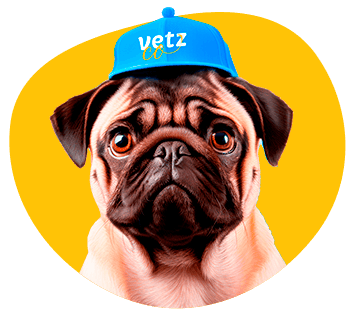 Vetzco | Encontre agora um médico veterinário!