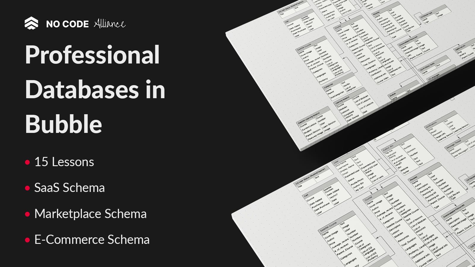 Professional Bubble Databases Course | NoCode Alliance
