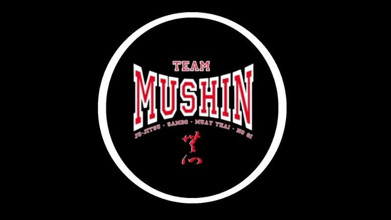 Team Mushin | Homeschool Hall Homeschool Athletics