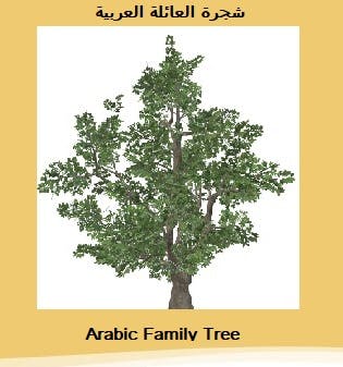 Arabic Family Tree Terms & Conditions