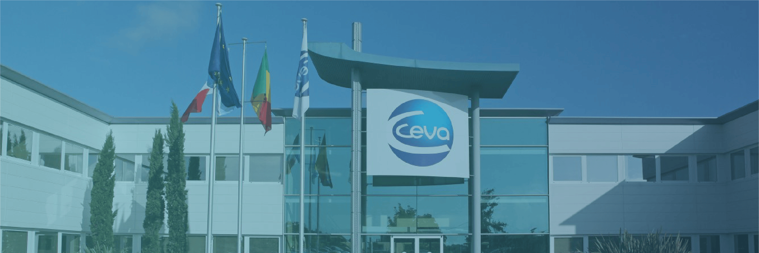 Ceva has become a world leader in veterinary vaccines, with 46% of its ...