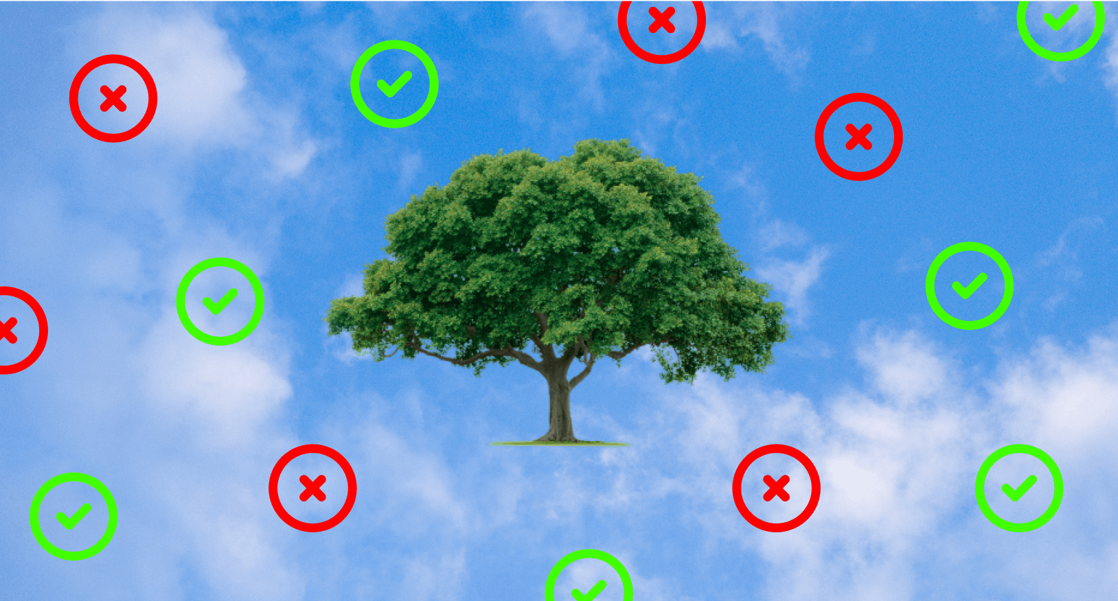 The Pros and Cons of Carbon Offsetting: What You Need To Know | Futureproof