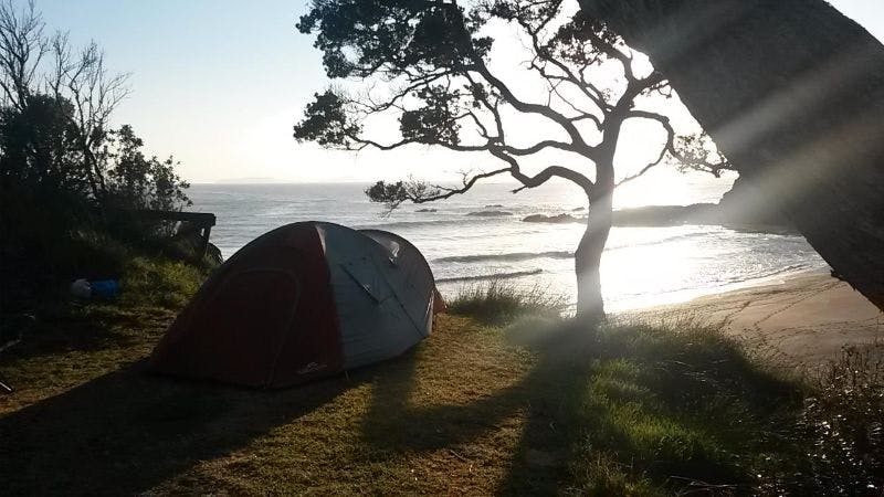 Motutara Farm | Whananaki Camping | Tentopia