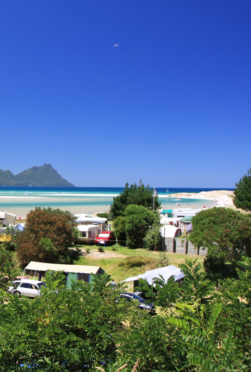 Ruakaka Beach Holiday Park | Ruakaka Camping | Tentopia