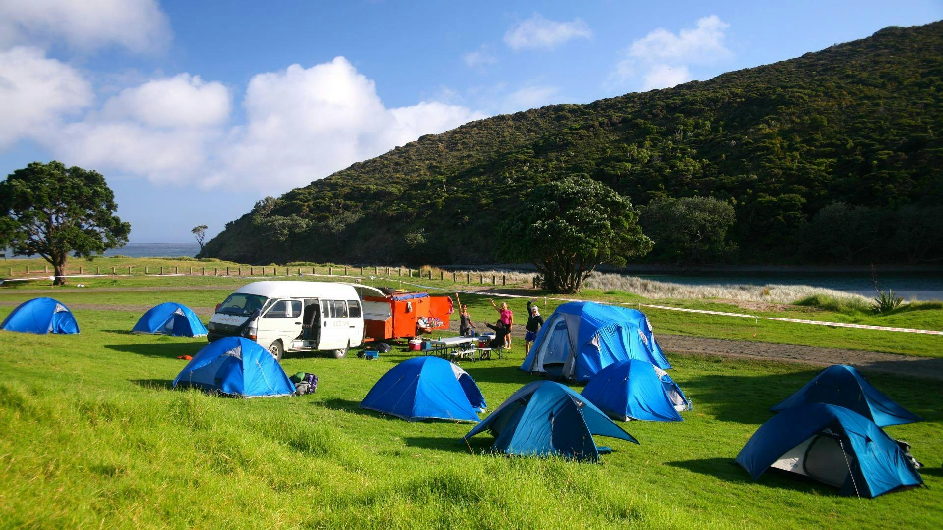 Puketi Recreation Area Campsite | Kerikeri Camping | Tentopia