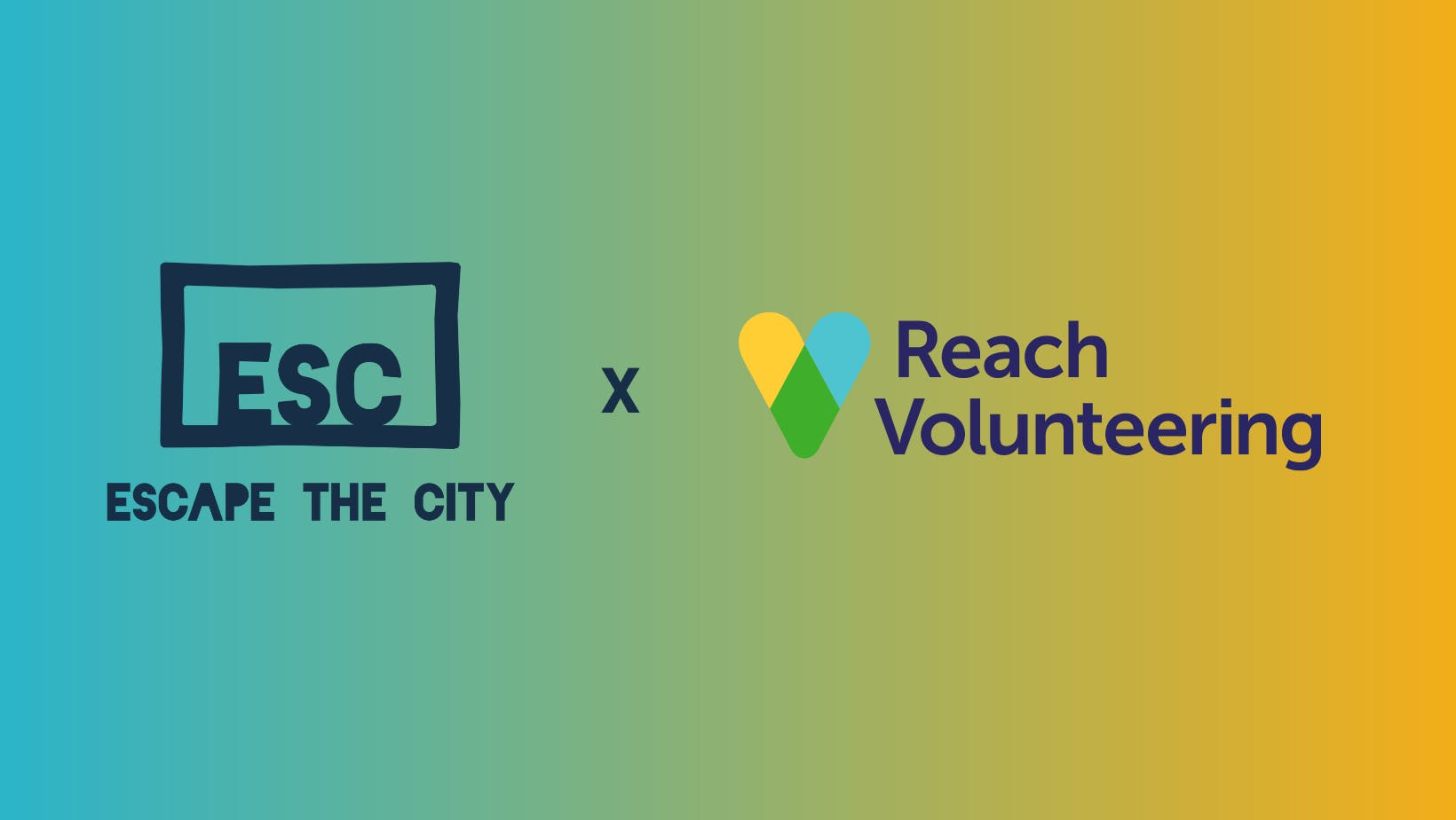 Announcing our brand new partnership with Reach Volunteering