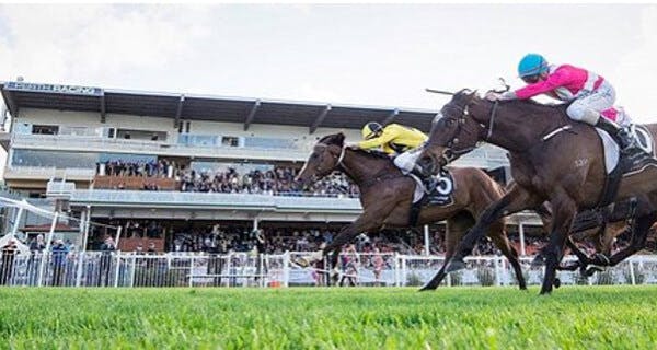 Finding An Edge At The Track: Ascot Racecourse - Champion Bets