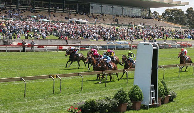 Finding An Edge At The Track: Sandown Racecourse - Champion Bets