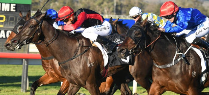 Lay betting on Betfair: The pro punters approach - Champion Bets