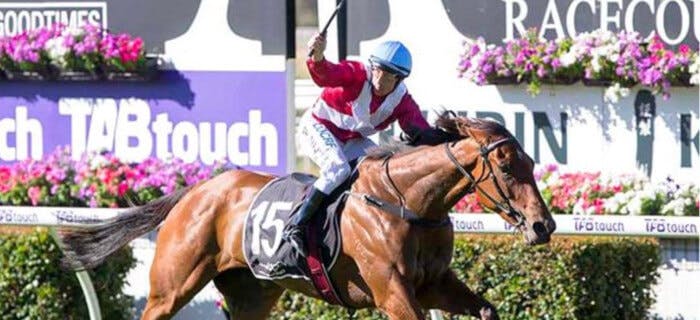 Matching A Tipster’s Official Results - Champion Bets