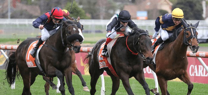 Group 2 Feehan Stakes: Runner-by-runner preview and best bet - Champion ...