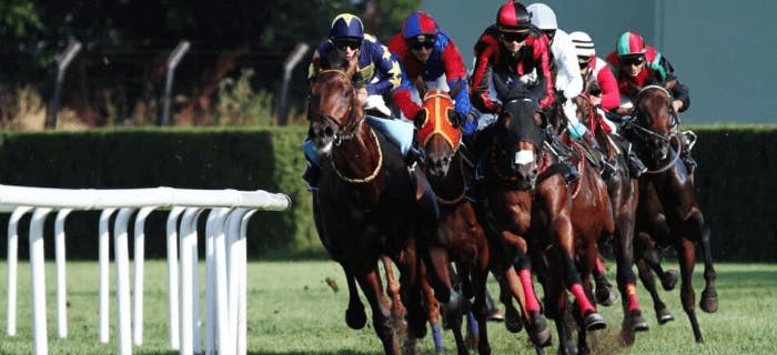 Meet Dean Evans: Revolutionary horse racing analyst and punter ...