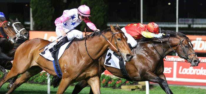 Group 1 Moir Stakes: Pro punter preview and betting strategy - Champion ...