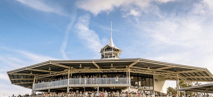 Scone Cup Day: Pro punter preview - Champion Bets