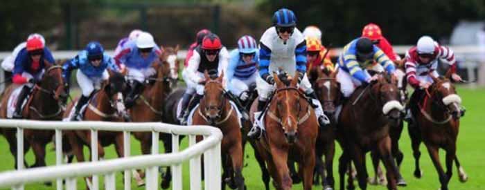 Cameron O'Brien: Bred to be a pro punter - Champion Bets