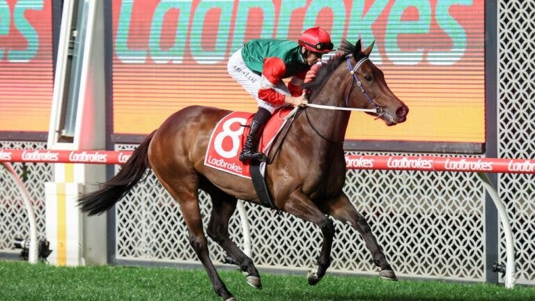 Odds-on favourites: How should you handle them? - Champion Bets