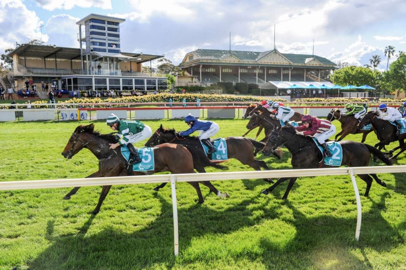 Bendigo Cup: Pro punter preview and betting strategy - Champion Bets