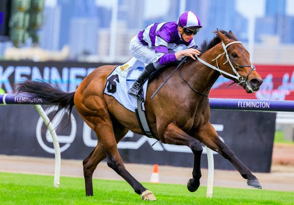 Victoria Derby: Pro punter preview and value bets - Champion Bets