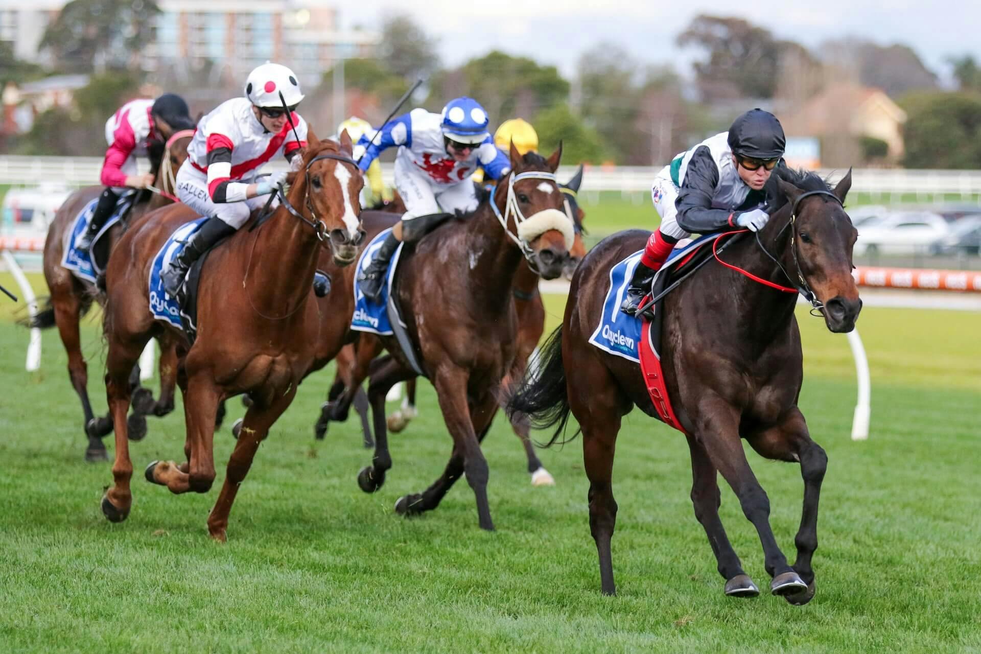 The Top 5 Autumn Carnival futures bets - Champion Bets