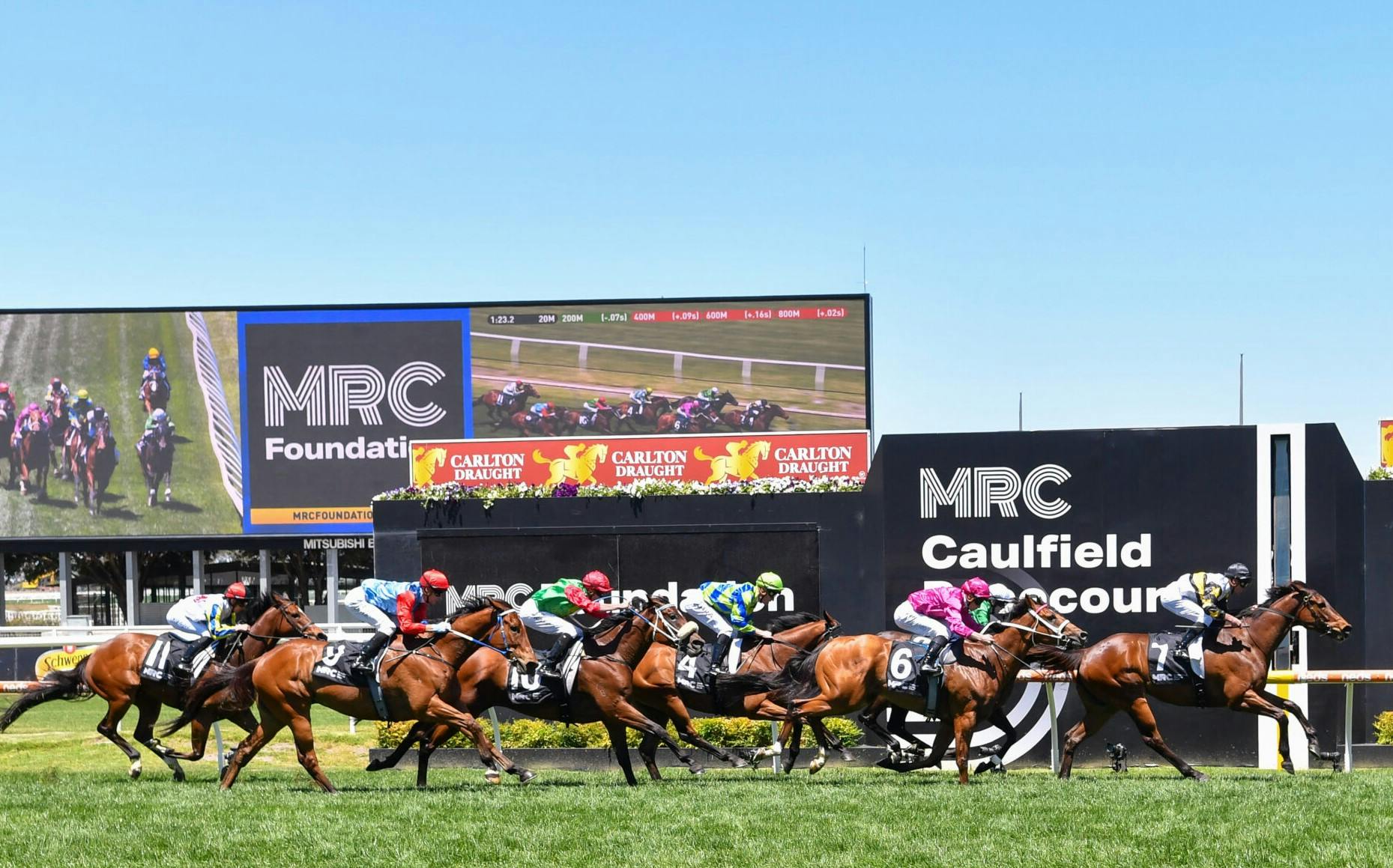 Group 1 Saturday! Best bet and race previews from the pros - Champion Bets