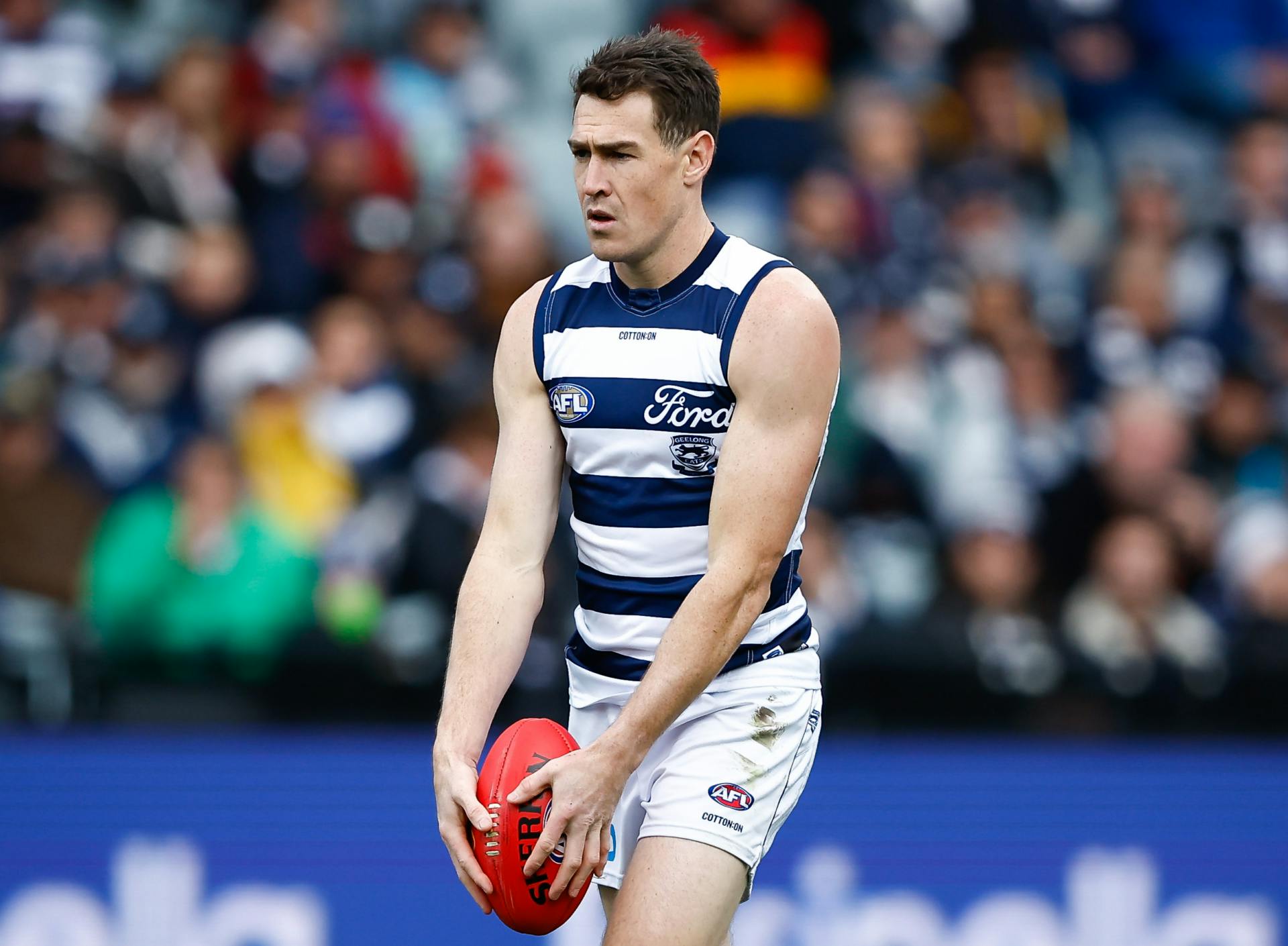 AFL Betting Tips: Profitable AFL Tips in 2024 - Champion Bets