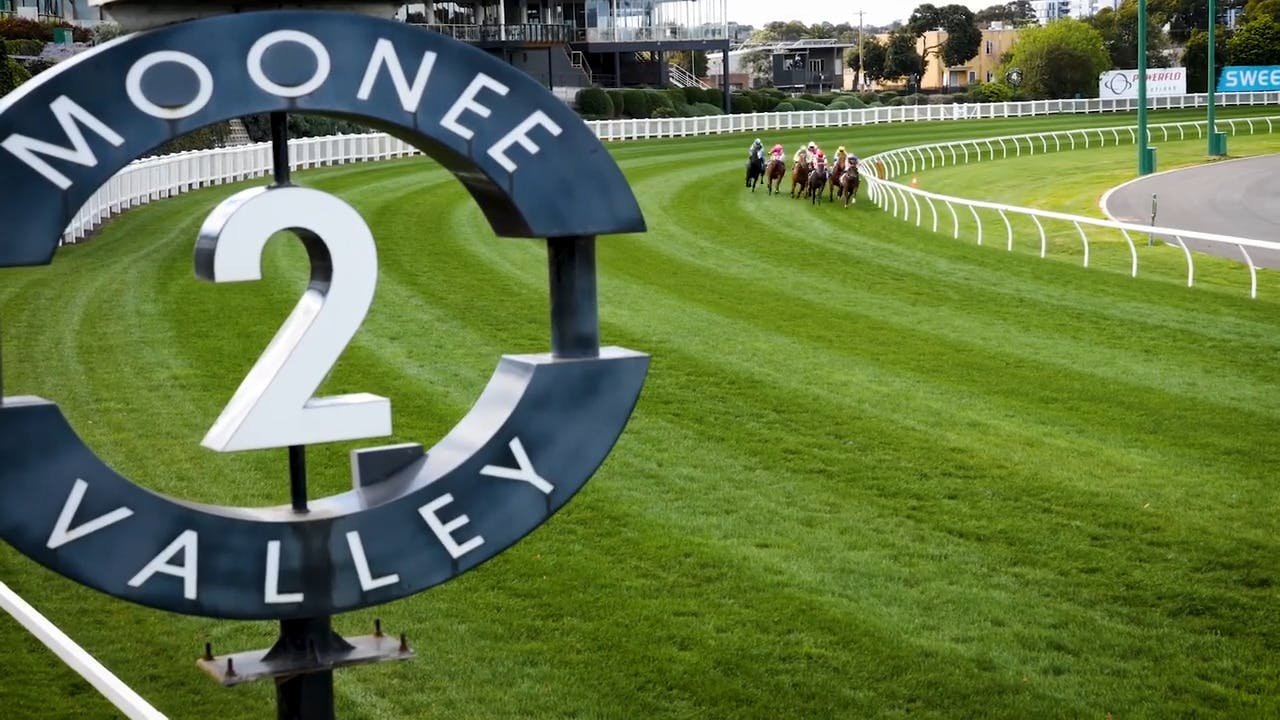 Group 1 Moir Stakes: Pro punter preview and betting strategy - Champion ...