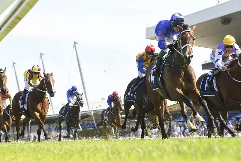 Group 2 Run To The Rose Preview And Tip Champion Bets