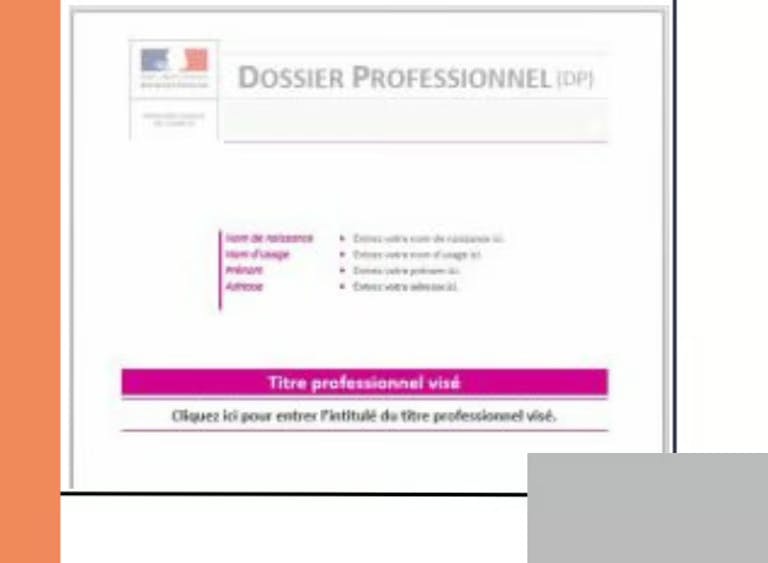 Modèle de dossier professionnel vierge pour ton titre pro