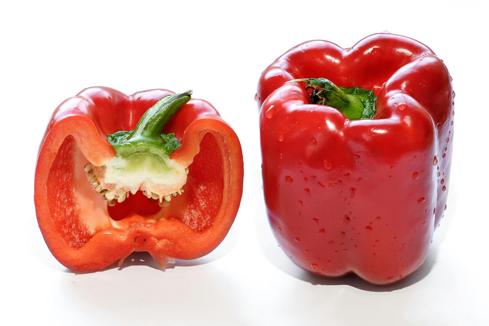 Capsicum Farm Startup Guide: