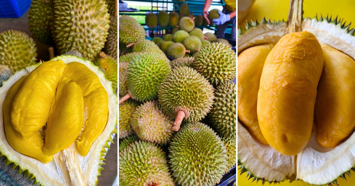 12 Best Durian Stalls In Klang Valley (Fresh & Affordable Options ...