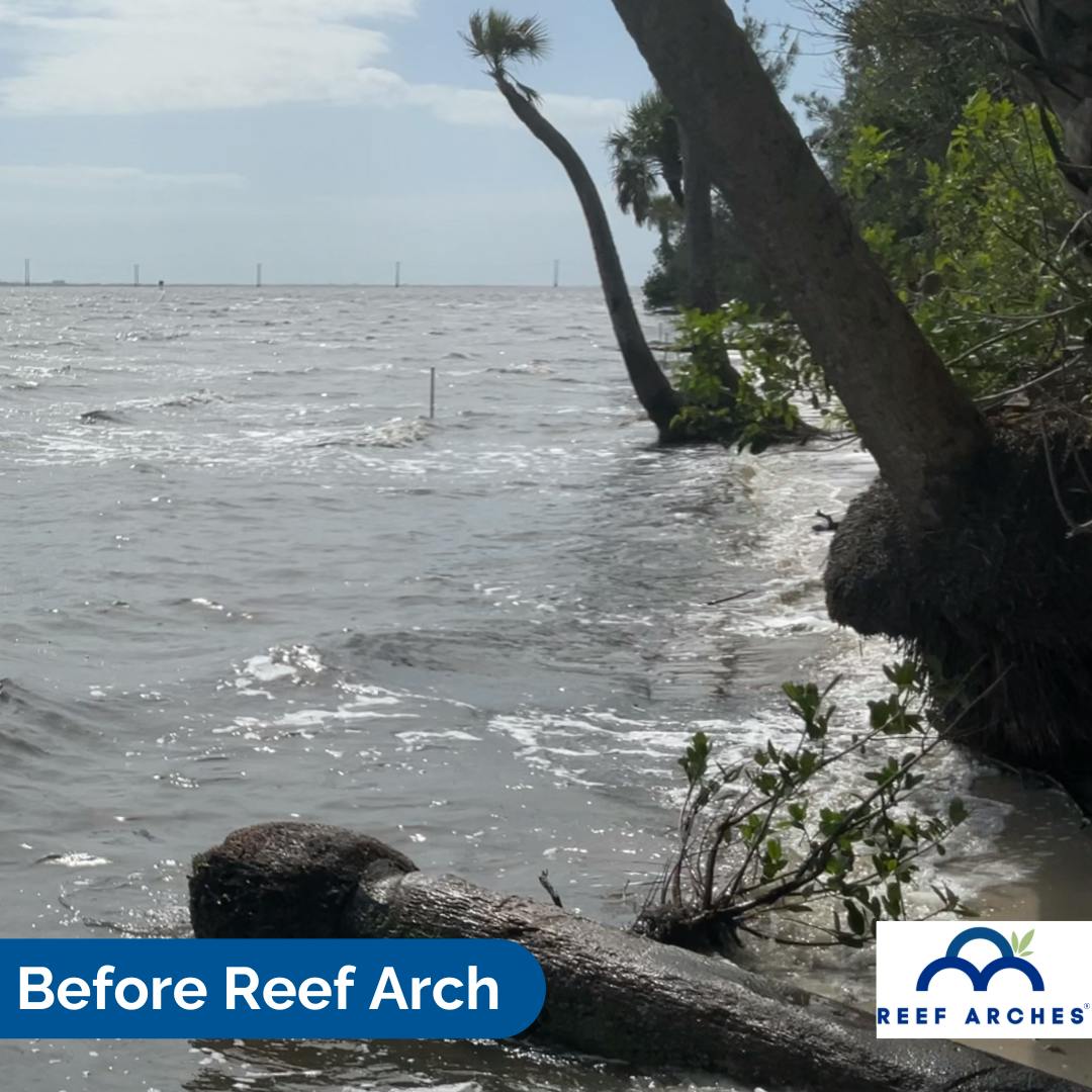 Innovative Coastal Protection & Restoration | Reef Arches