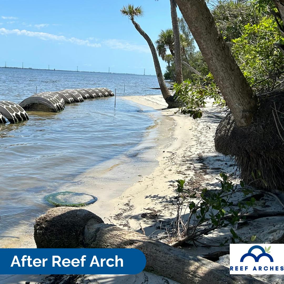Innovative Coastal Protection & Restoration | Reef Arches