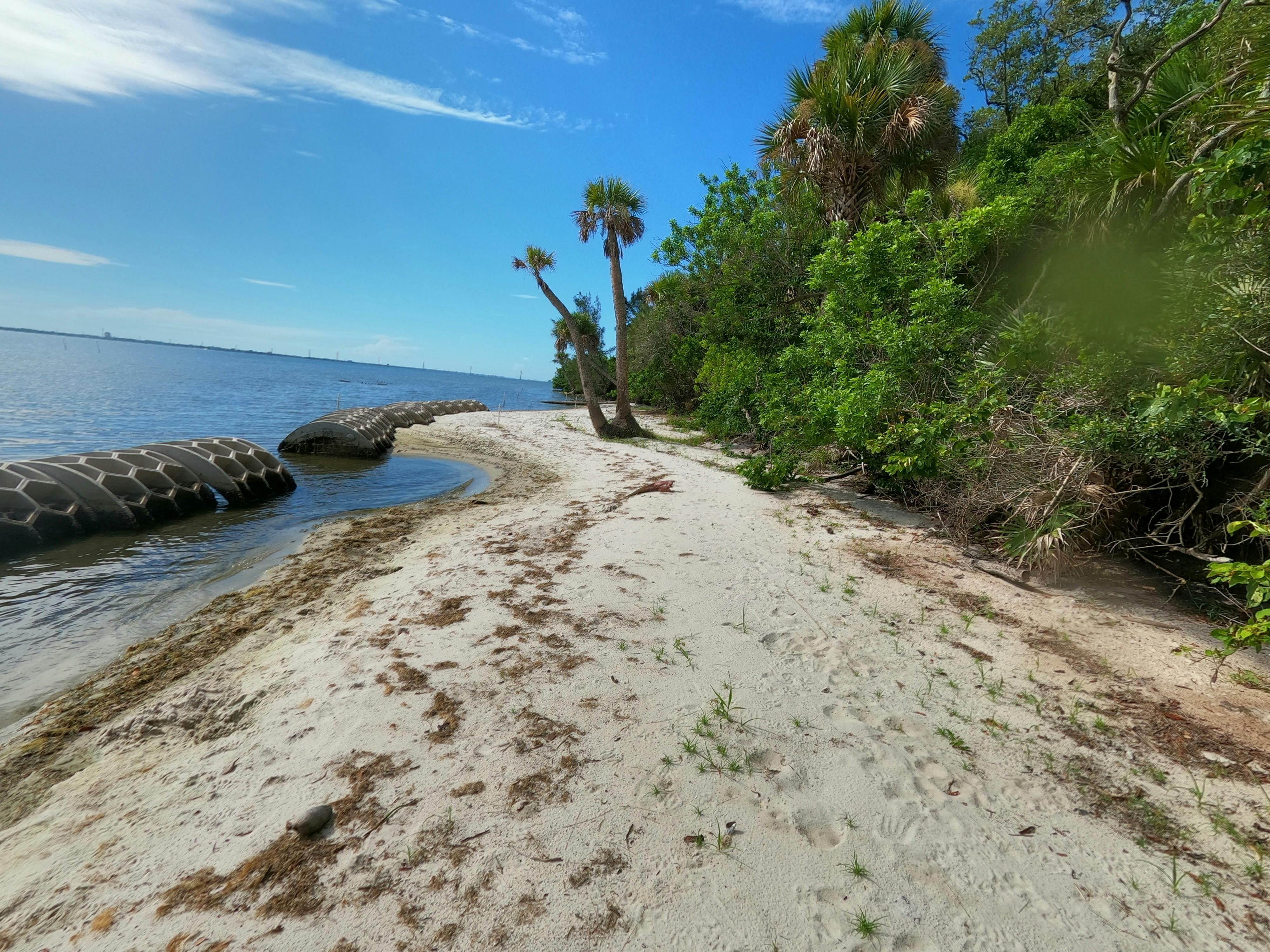 Innovative Coastal Protection & Restoration | Reef Arches