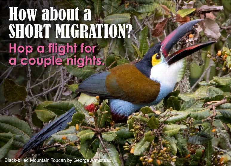 How about a short migration?