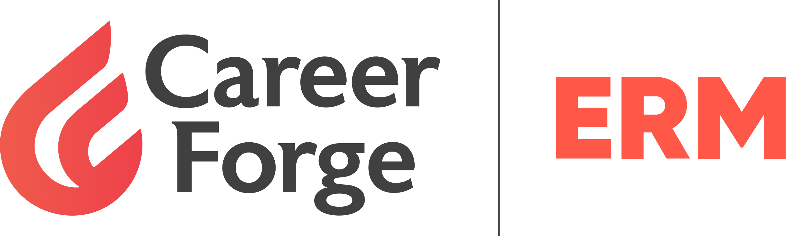 Career Forge | ERM