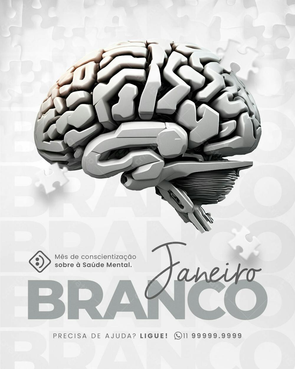 Janeiro Branco 11R | PSD Premium [download]