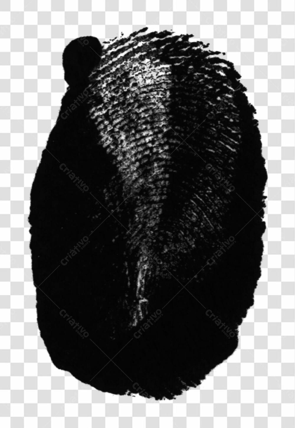 Fingerprint textures high resolution design asset - [download] 127063 ...